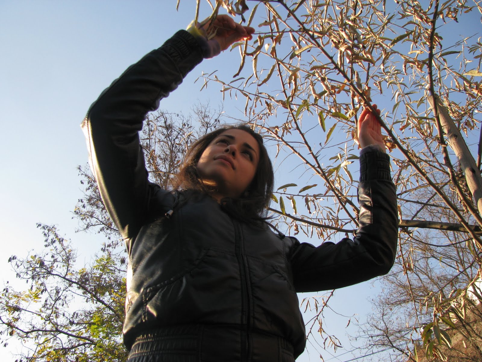 Photoapasionado: Ángulos