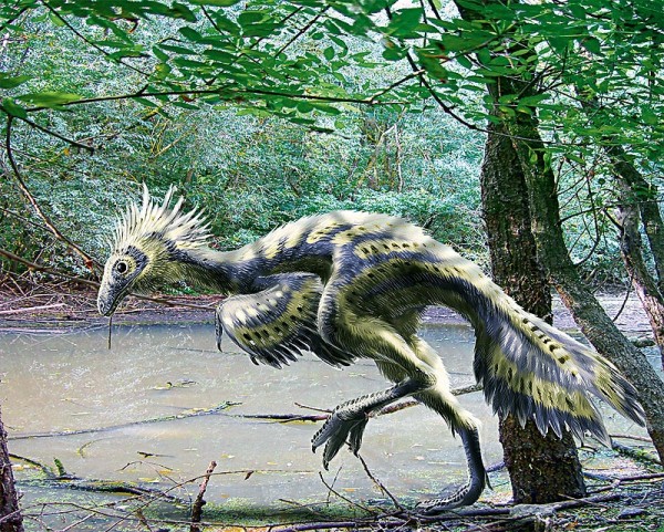 GeoScienze: Caudipteryx zoui