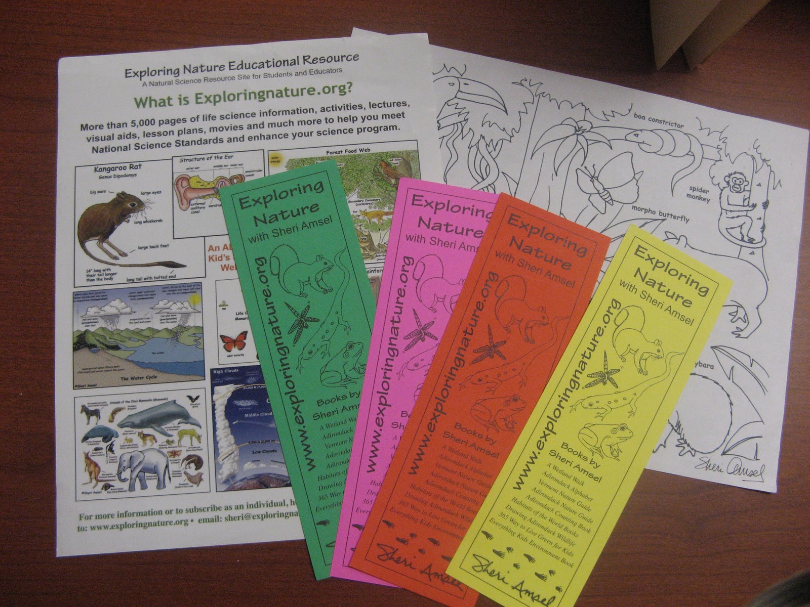 Mrs. Clause's Creative Classroom: Skyping with Sheri Amsel