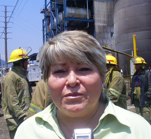 Diputada Alma Rosa promoverá un punto de acuerdo para revisar empresas ...