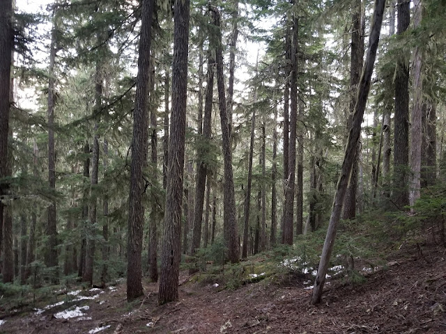 Take a Hike: Ruby Mountain, North Cascades National Park, WA