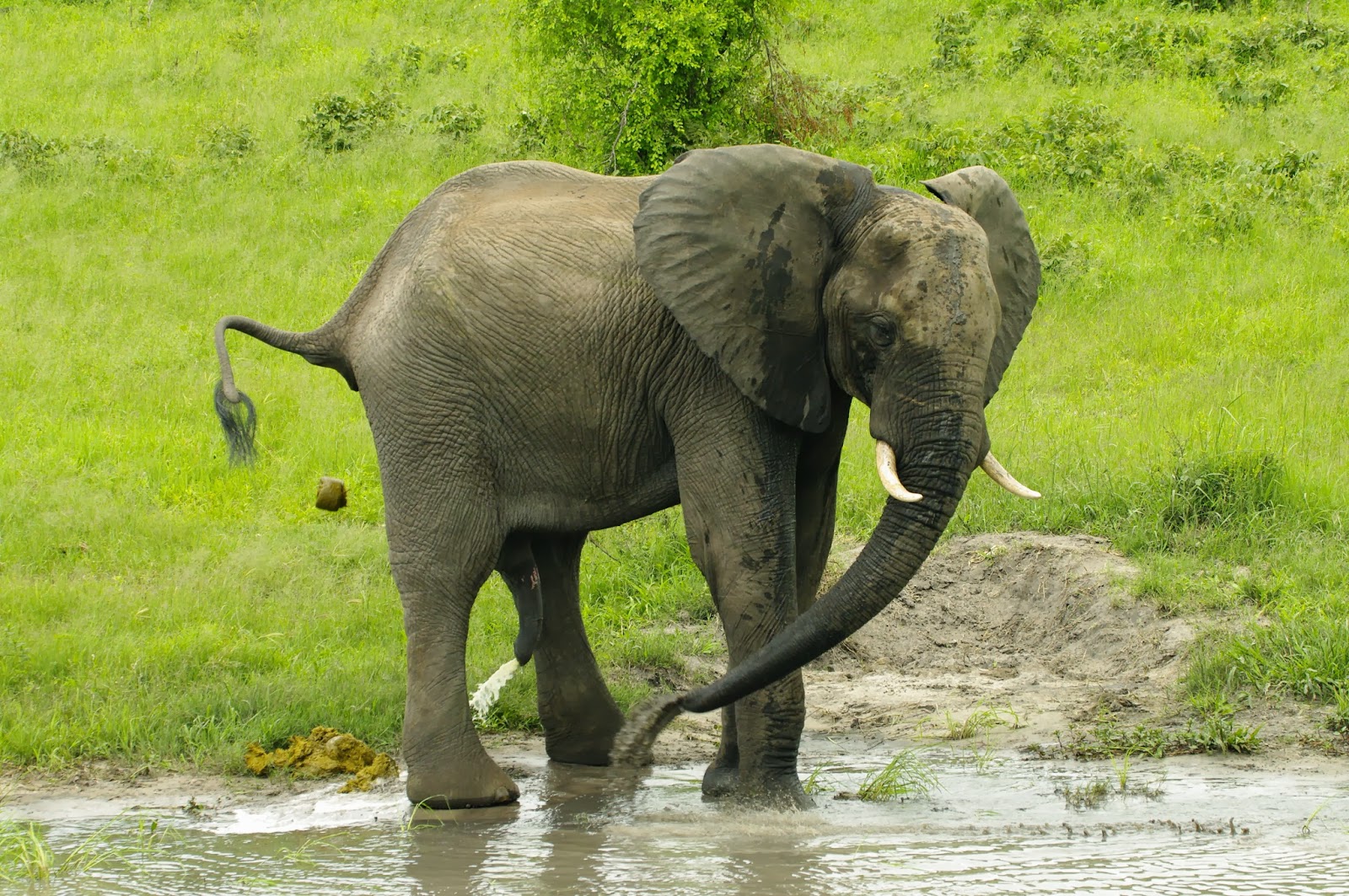 The Southern Africa Adventure