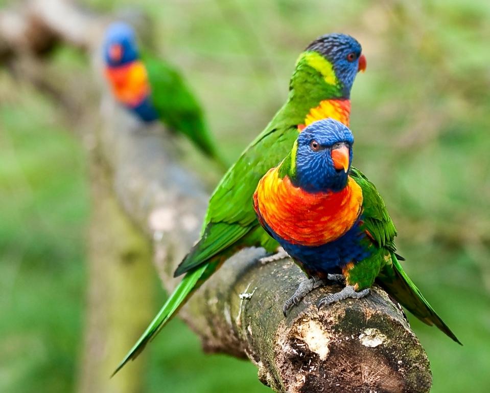 australia, far far away - just an incredible life...: Our Top Ten ...