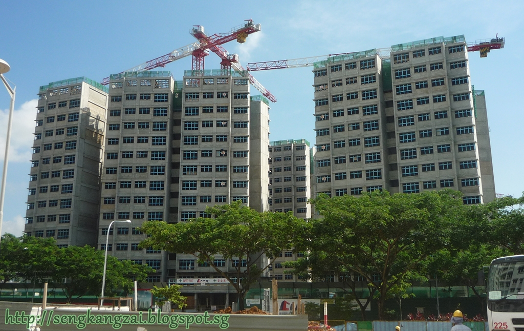 Zai@Sengkang: Fernvale Lea (Yr 13 Wk 23)