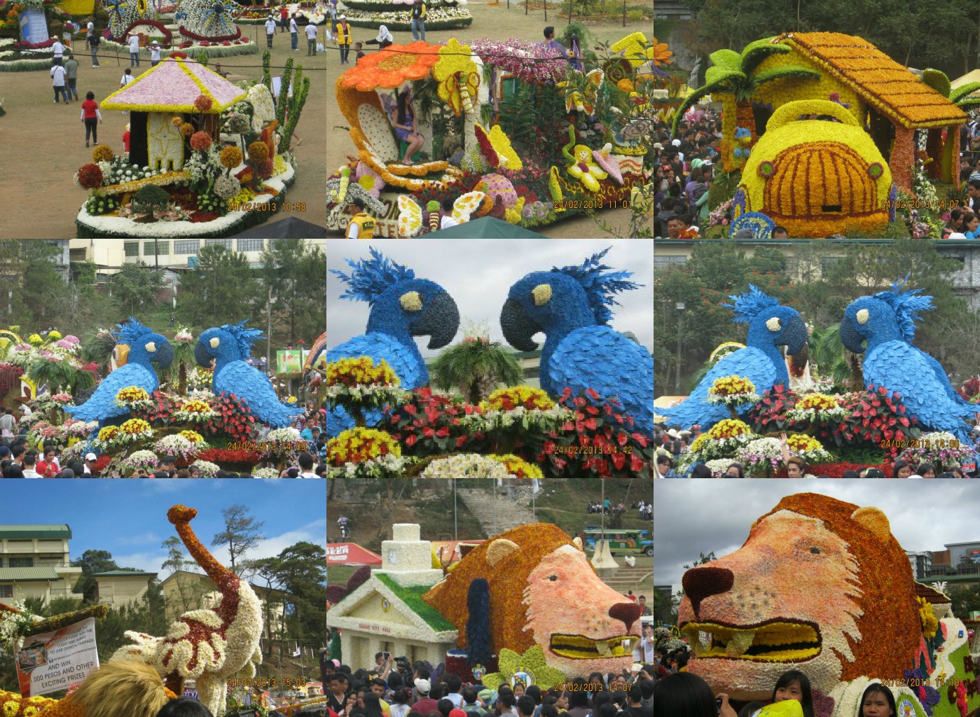 EAT EXPLORE EXPERIENCE: Experiencing Panagbenga 2013