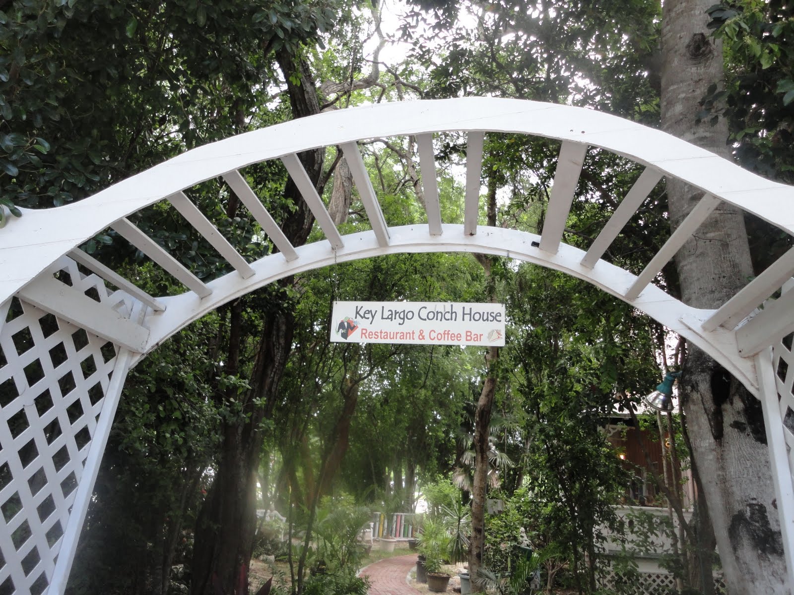 The Florida Dine and Dash: Key Largo Conch House: Polished gem hidden ...