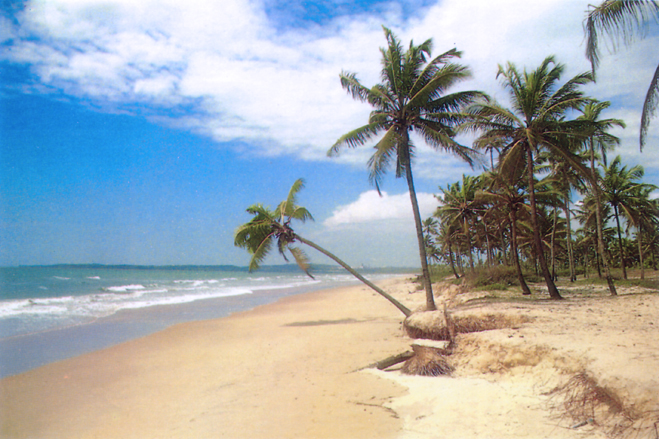 5 Popular Goa Beaches | Insight India : A Travel Guide to India