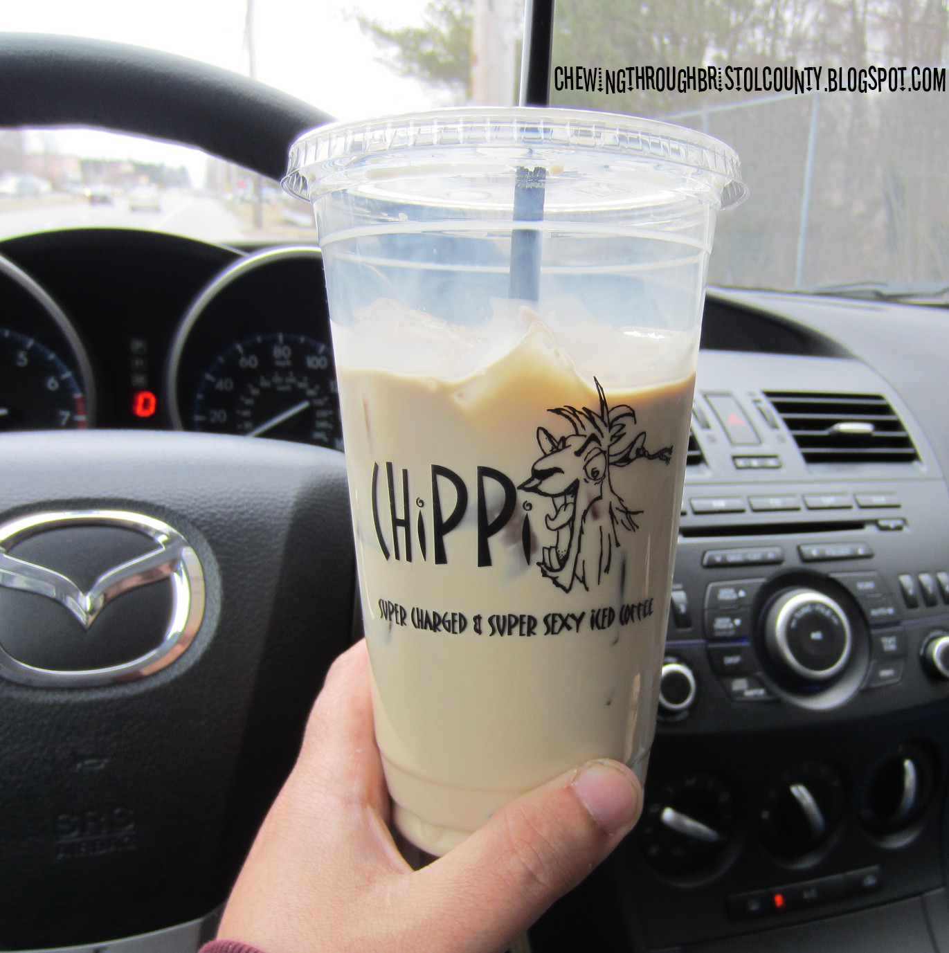 Chewing Through Bristol County: Mirasol's Cafe: Chippi