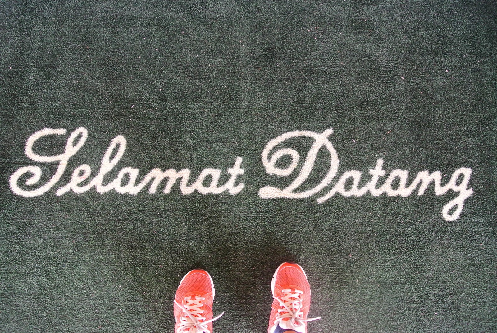 Malaysiana Explorer: In search of 'The Perak Man' - Part 1