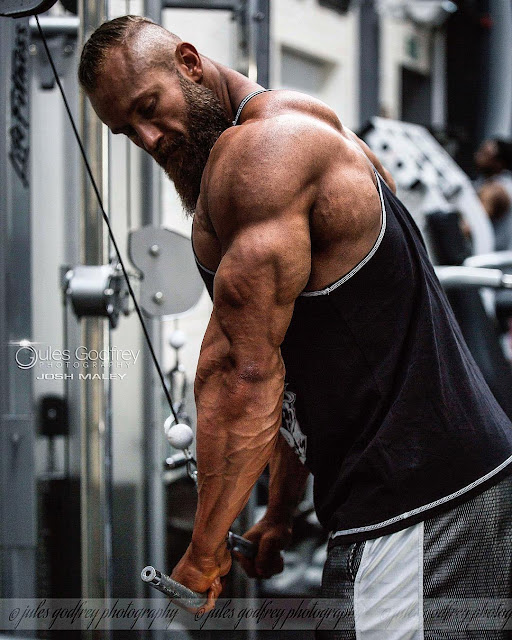 Muscle Lover: Josh Maley