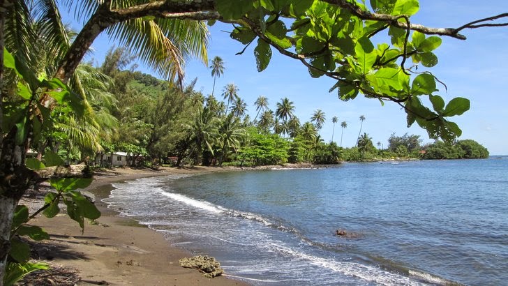 Littoral de Tautira - Le Fenua Aihere
