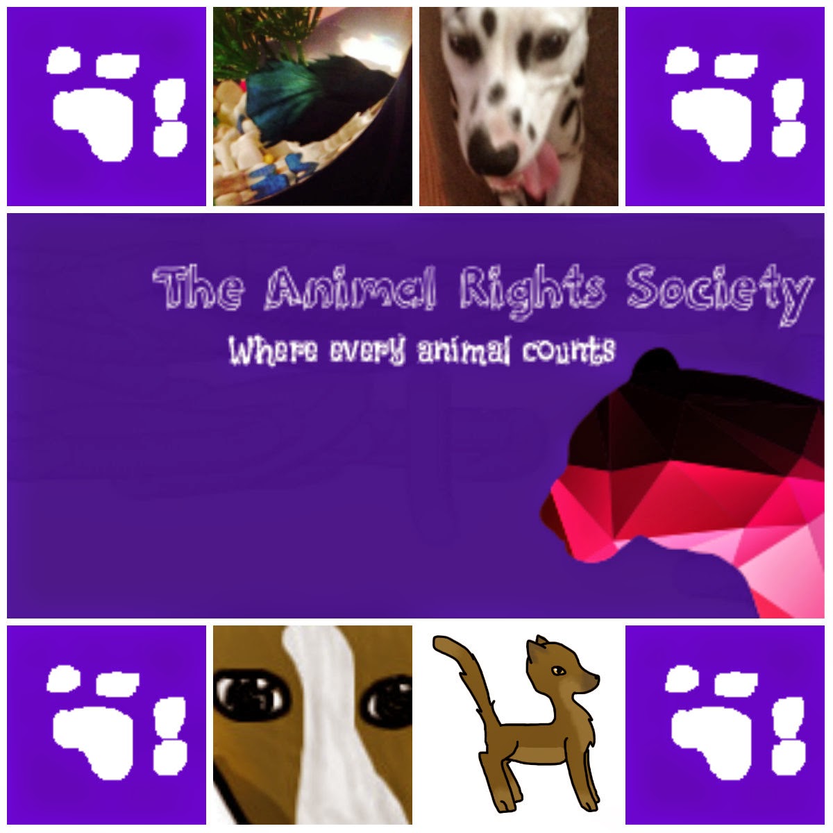 Animal Rights Society!