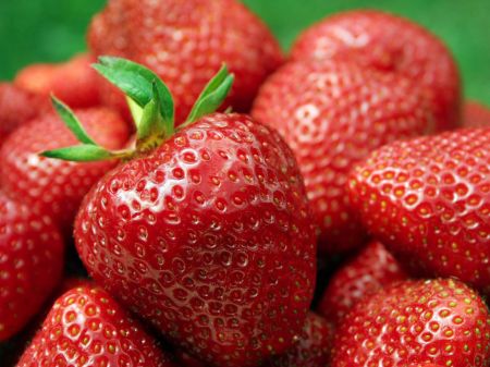 PLANTAS E ERVAS E FRUTOS QUE CURAM: FRUTA MORANGO