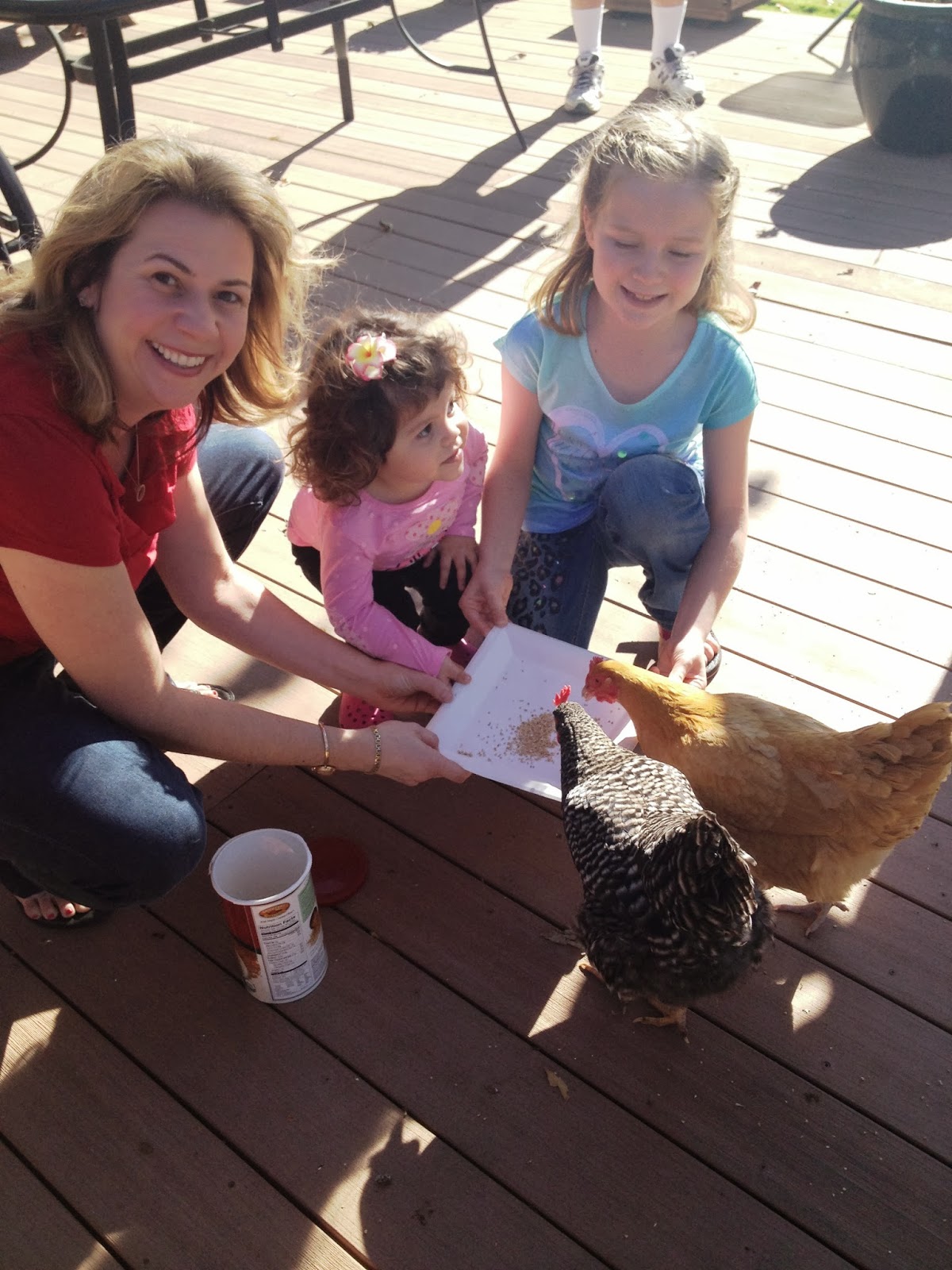 meg, paper, scissors: The Almost Chicken Chomp Incident