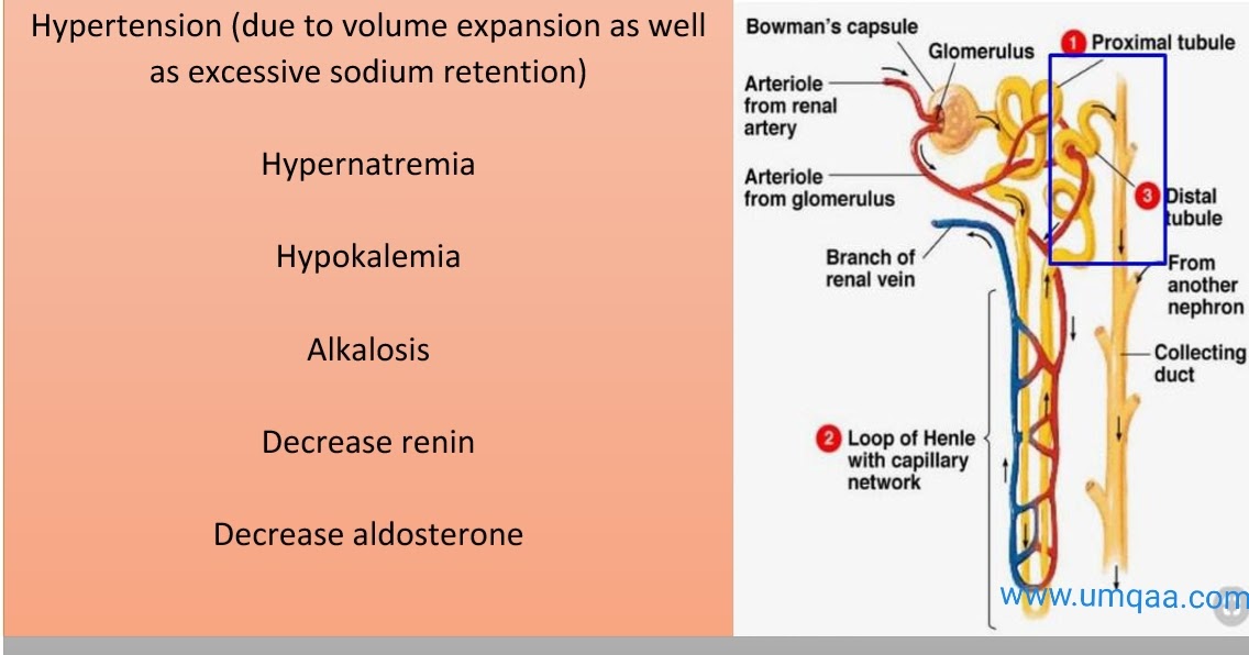 What is Liddles Syndrome?