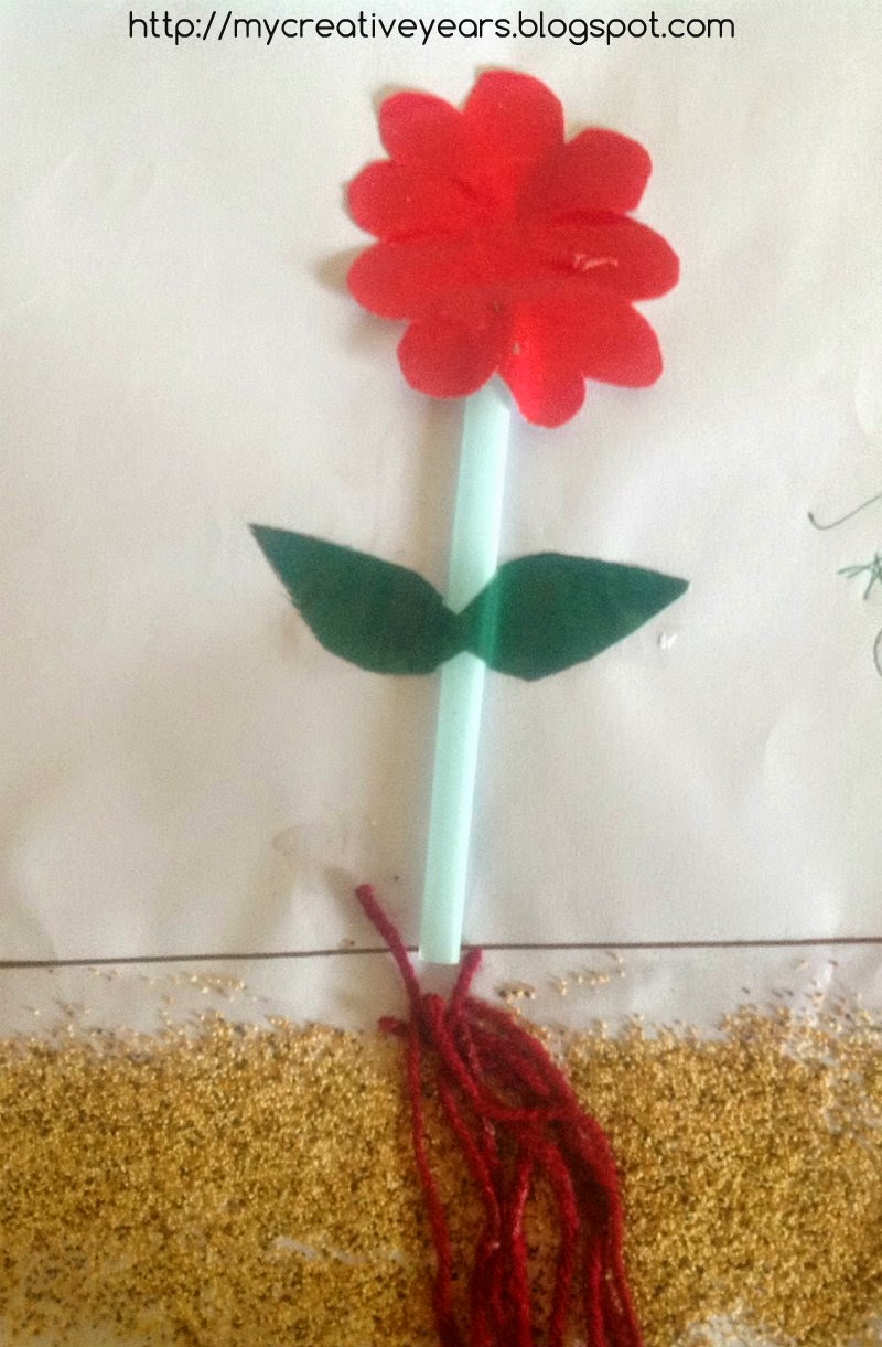 Parts of a Plant Craft