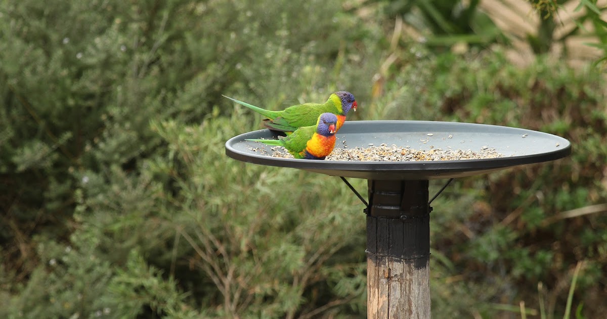 Jarowair - Our Patch