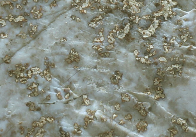 The Rocks Remain: Adventures in Silcrete: "It's flint Jim, but not as ...