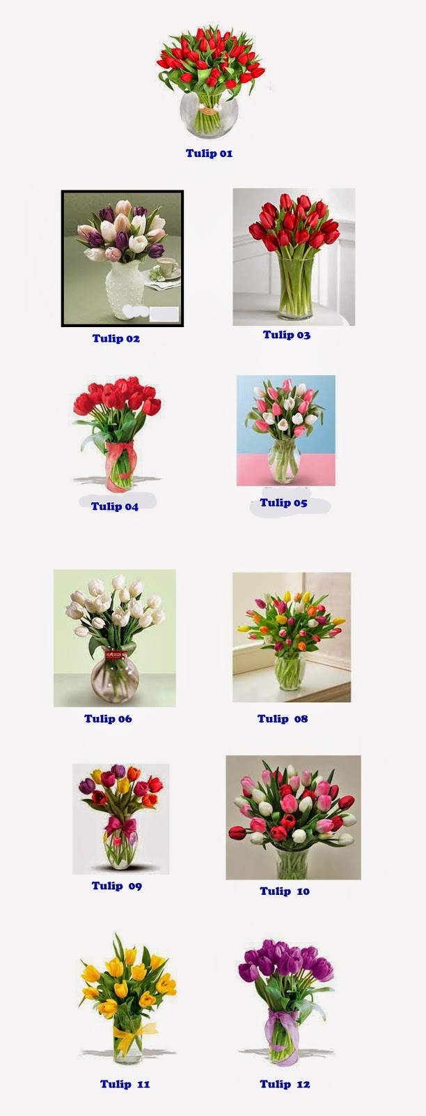 Rangkaian Bunga Tulip