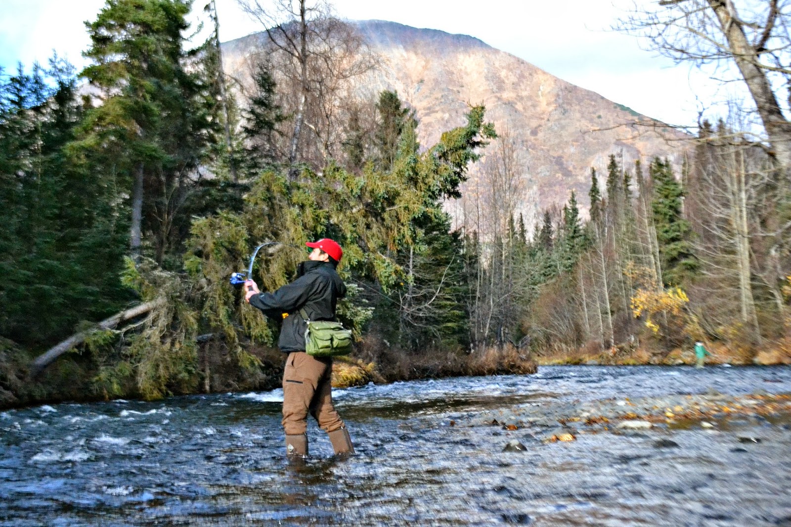 Brandon & Betty's Alaska Adventure: October 2013