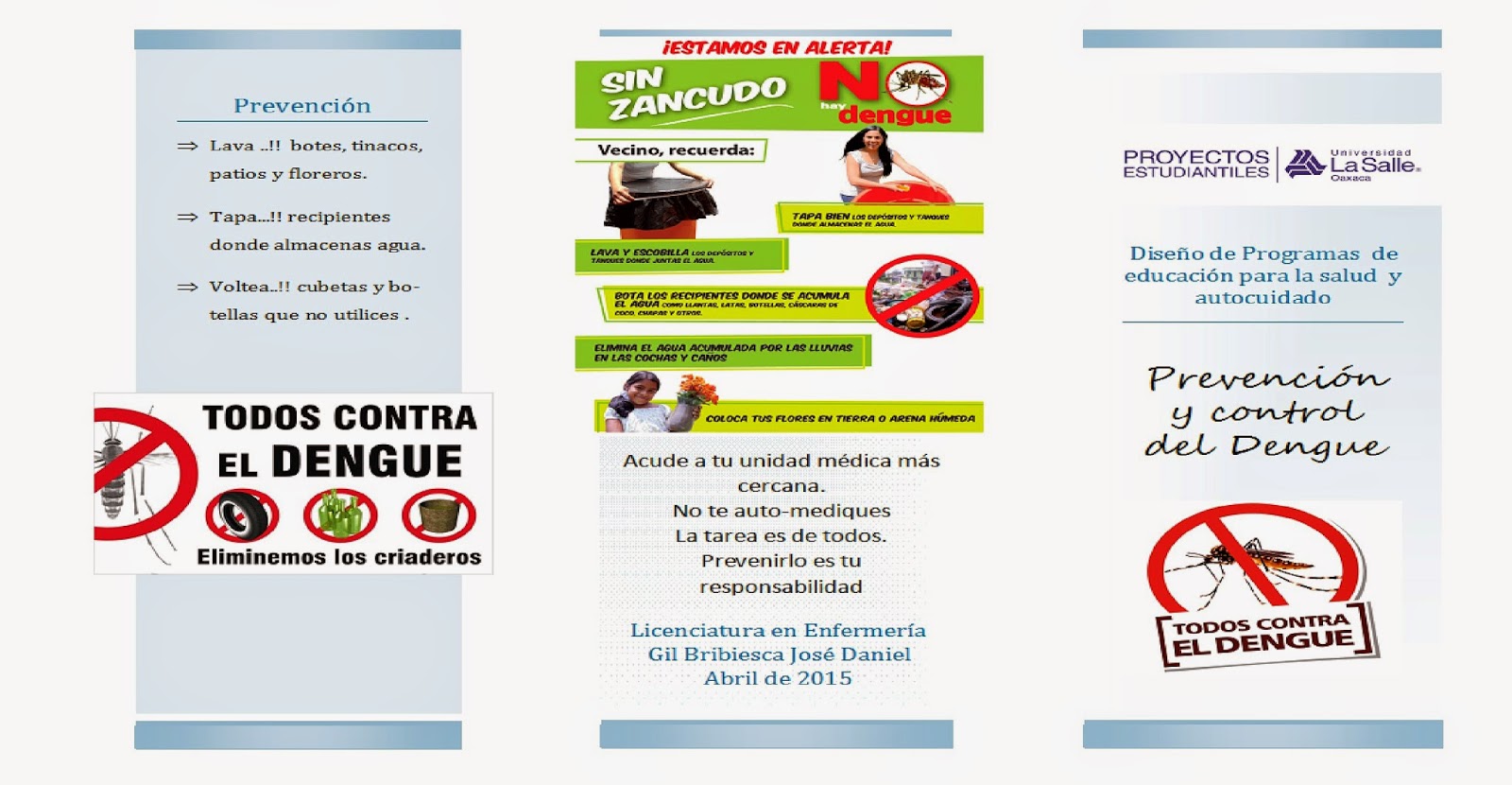 Prevención y Control del Dengue: Triptico