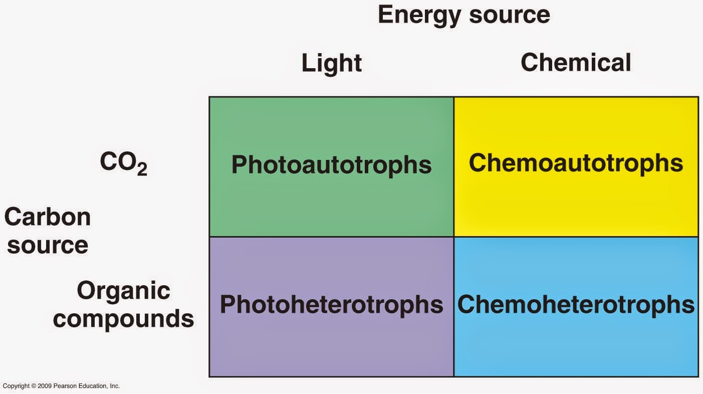 ~Pencinta Muhammad~: Knowing Nutritional Types of Microorganisms~