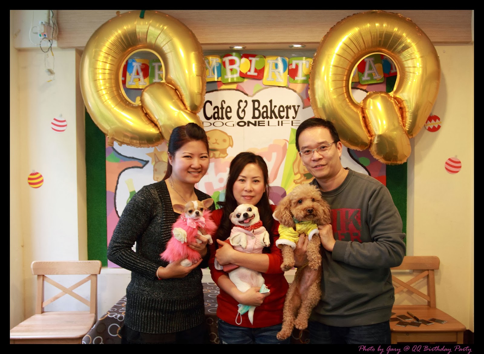 圓咕碌日記 : QQ 兩歲生日爬地