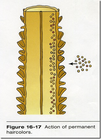 The Power of Purple. . . | Killerstrands Hair Clinic