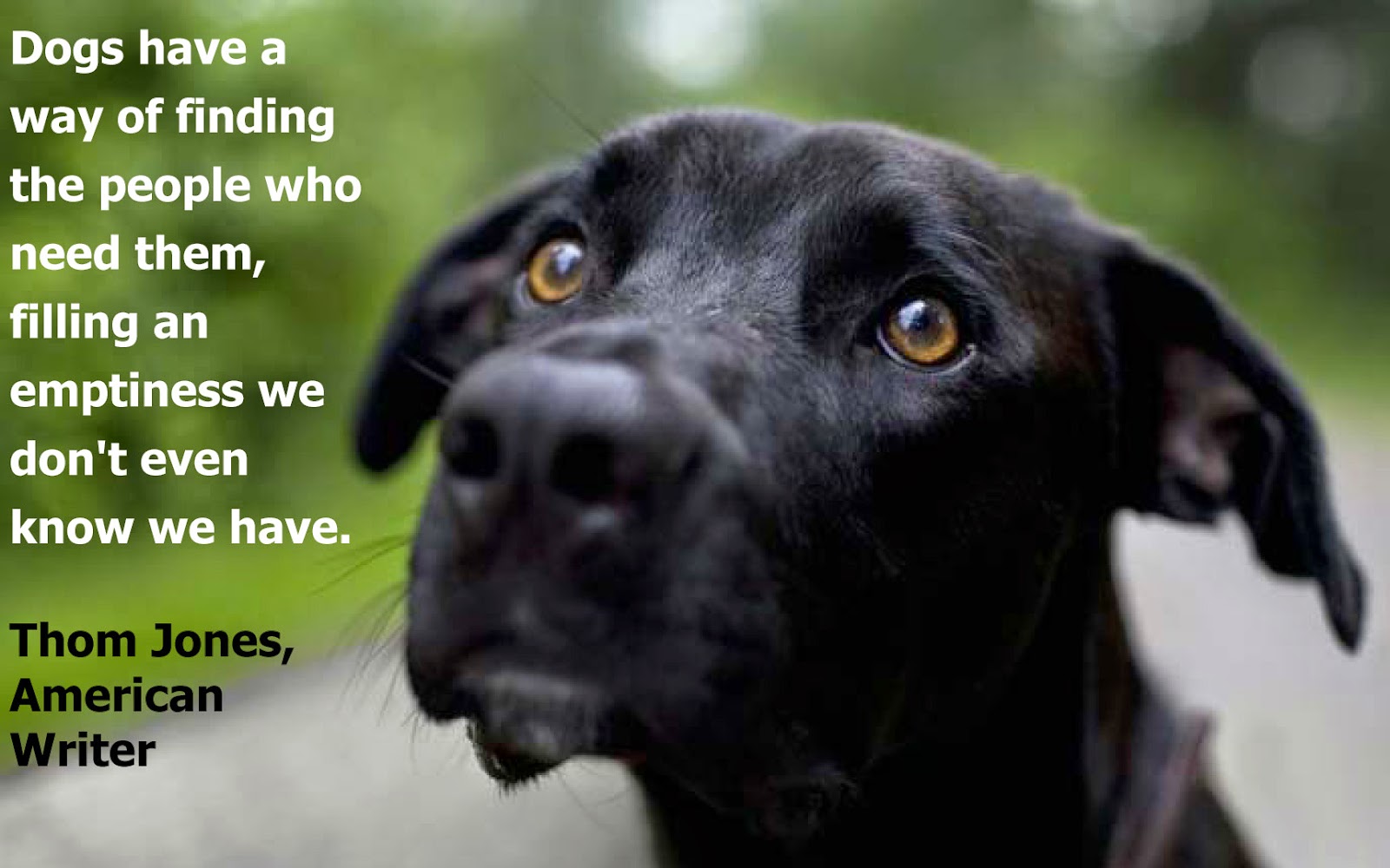 Better Late Than Never With Positive Thinking/Teacher Tote! - HAPPINESS ...