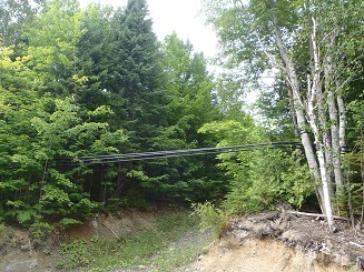 Marion au Canada: Tabarnouche y'a d'la brume!
