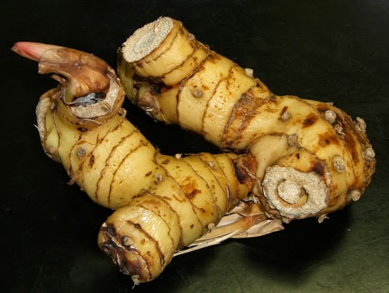 Karchur - Poolankizhangu Powder 200Grams (50Grams X 4 Packs) In India ...