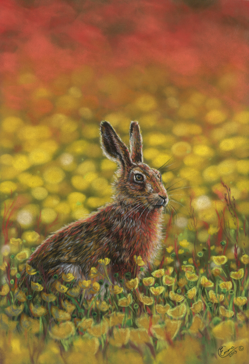 Limited Edition Prints - Emma Colbert - Artist and Illustrator from ...