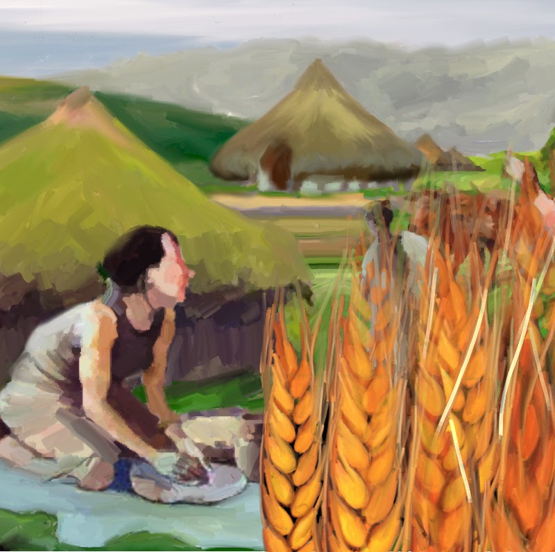 The Global Miller: 02/03/2015: Stone age Britons were eating wheat 2000 ...