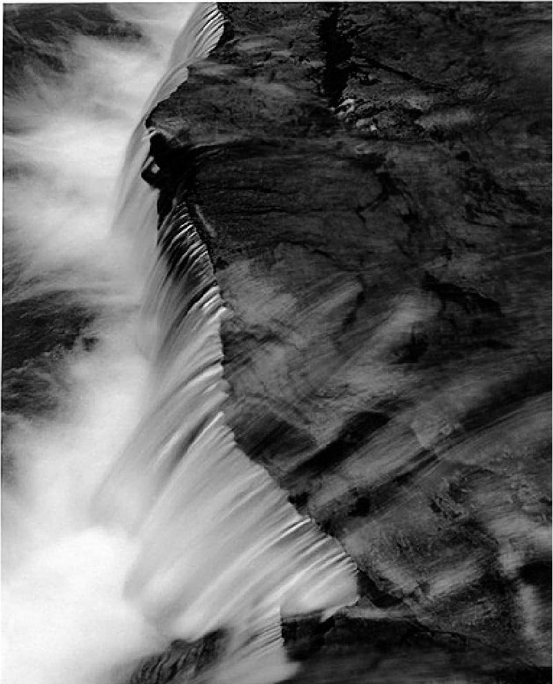 Love!! Photography: Negatives give photographer positive outlook