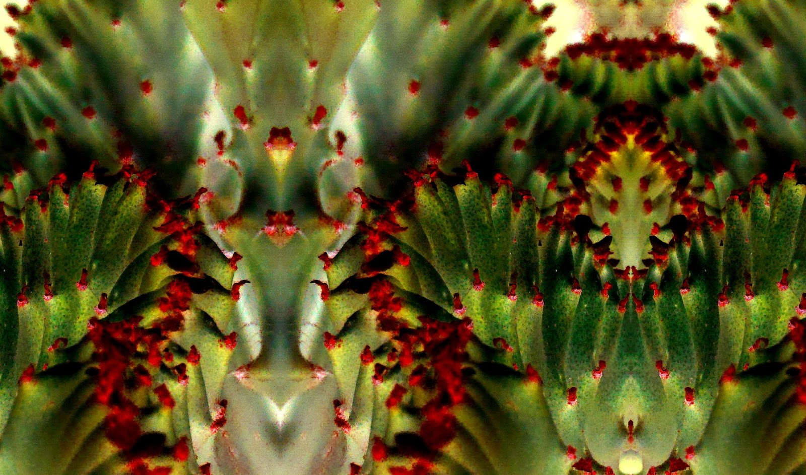 MarianneDowFoto Blog - Art Photography by Marianne Dow: Psychedelic ...