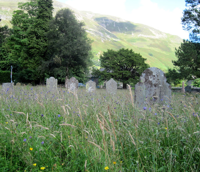 Flutterby Patch: Lakeland sunshine