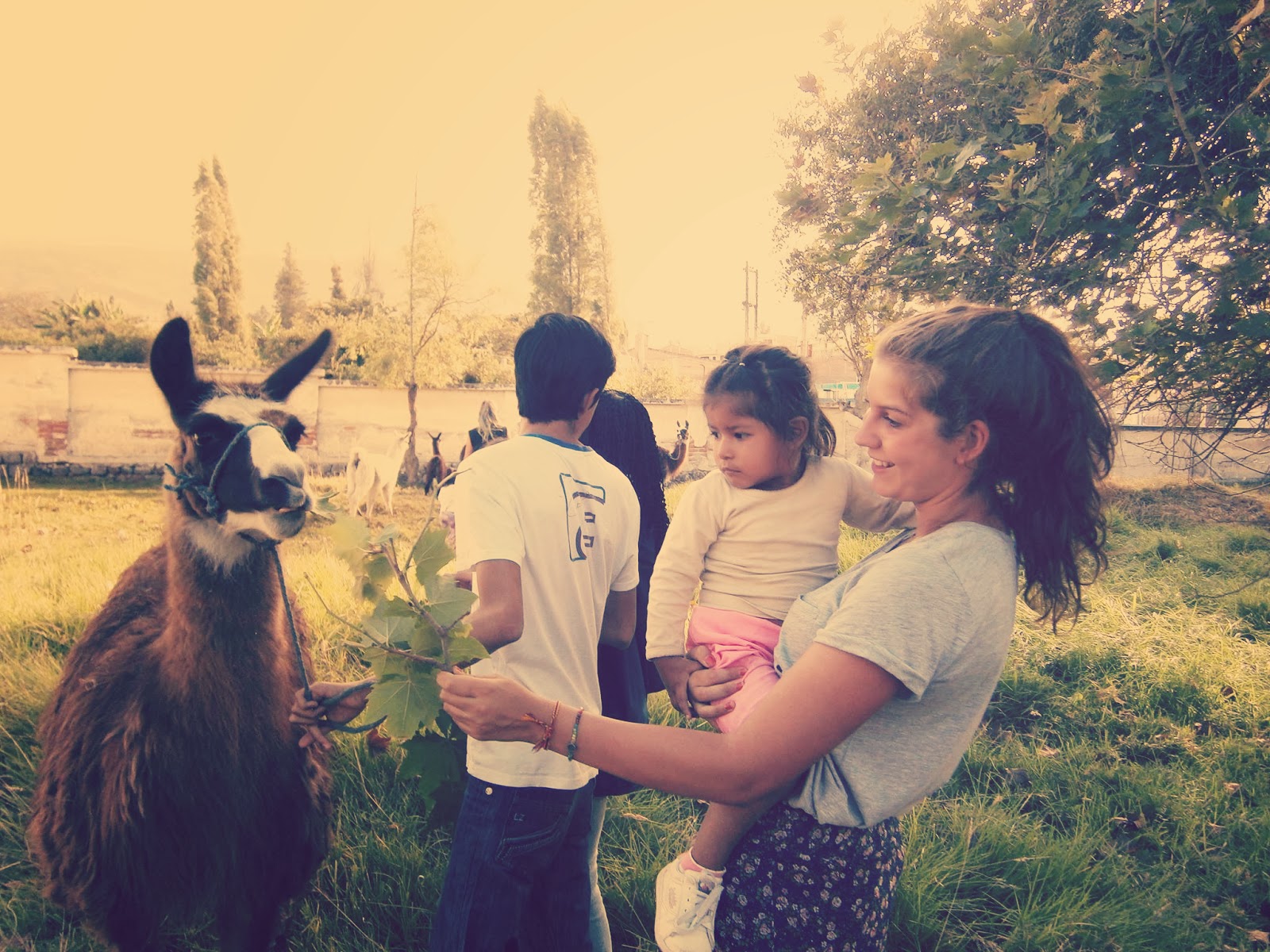 Leonie Lauren: Stimmen aus Wolfsburg - Lena Homann
