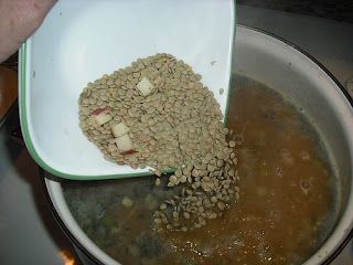 Culinary Alchemy: Legume Lovin' - Lentil Stew