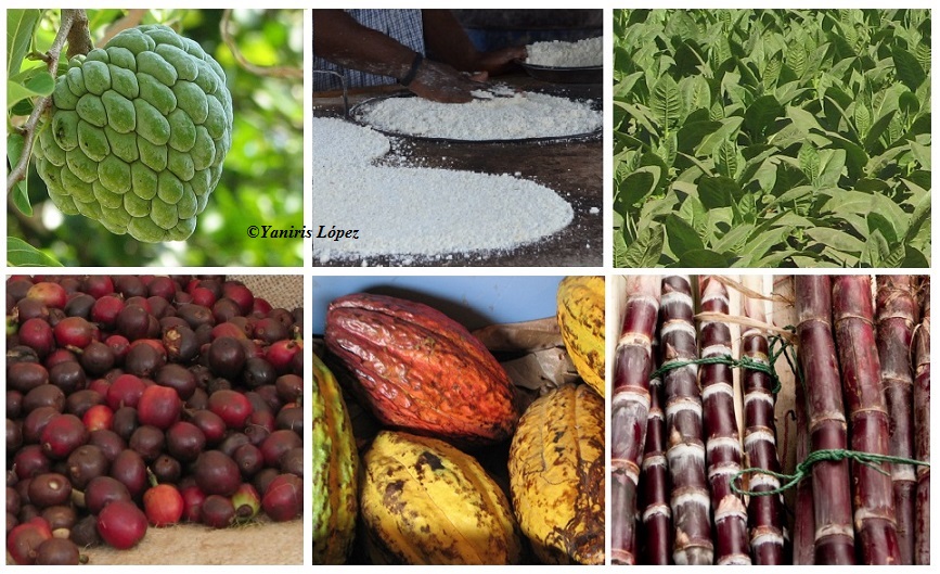 Ningún lugar está lejos... en RD: Un sendero educativo taíno en el ...