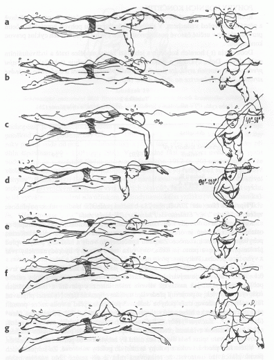 NADADORES INSTANTÂNEOS: Análise de seu Nado Crawl