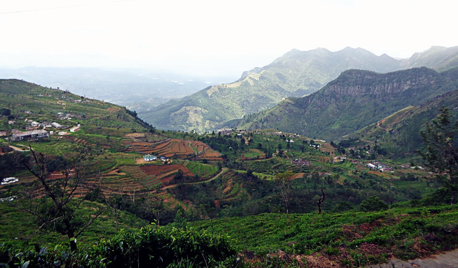 ලින්කන්ගෙ වෙබ් පිටුව: ඔහිය සිට යකාගේ පඩිපෙල පසුකර බඹරකන්ද දියඇල්ලට ...