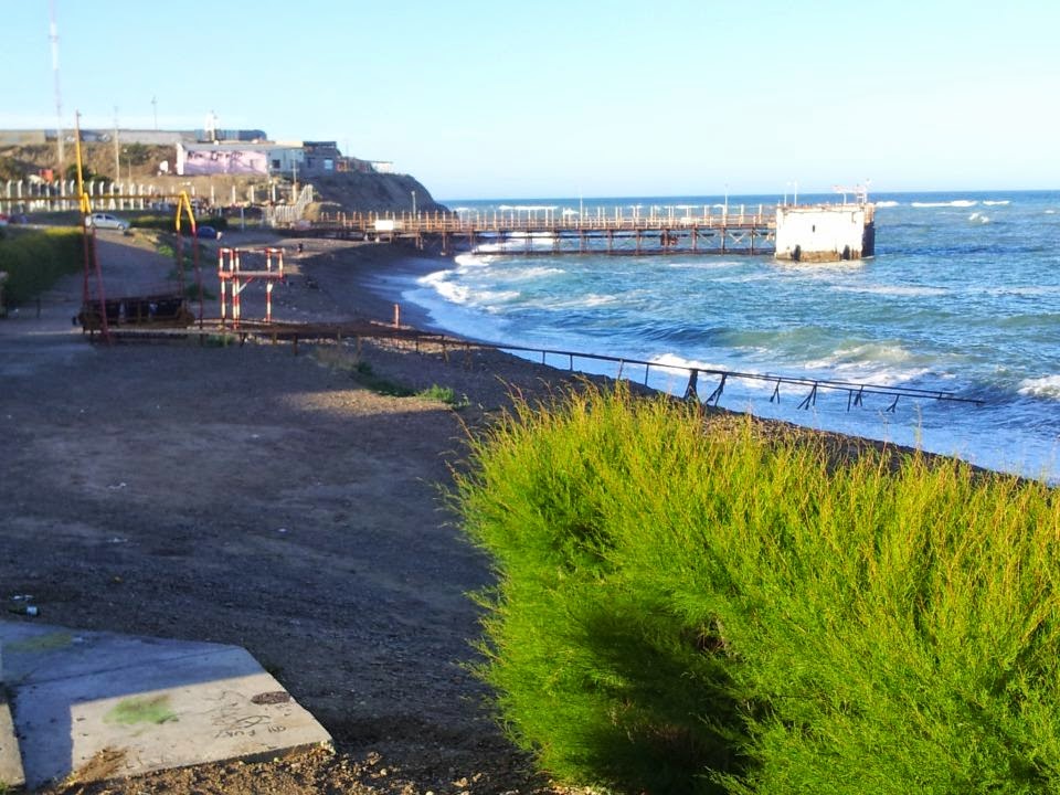 Caleta de cara al mar: POSTALES DE CALETA OLIVIA Y SU MAR.