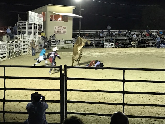 Explore SWFL: His First Rodeo:Fort Myers Pro Rodeo