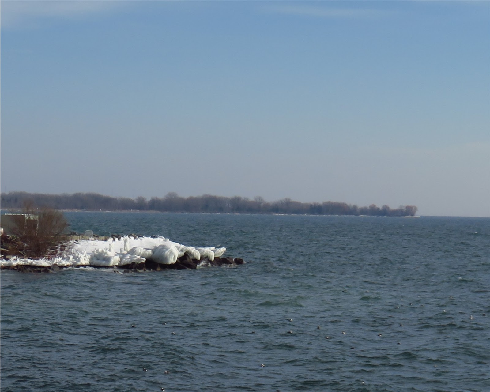 The World of Gord: Walking Toronto's Winter Waterfront