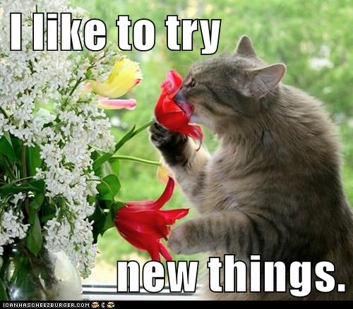 Growth Mindset & Feedback Cats: I like to try new things.