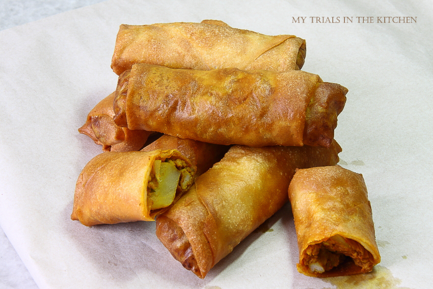 My Trials in the Kitchen: Deep Fried Spring Roll with Curry Chicken ...