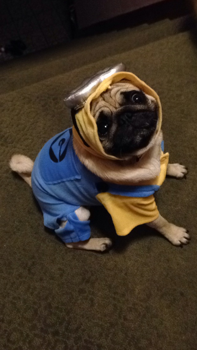 A Bowl of Noodles©: Marvelous Minion