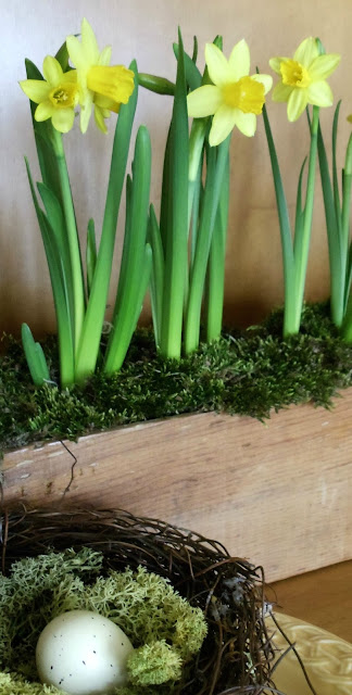 Upstairs Downstairs: Spring in a Box