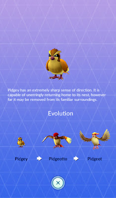 Pokemon Go: Pidgey Evolution