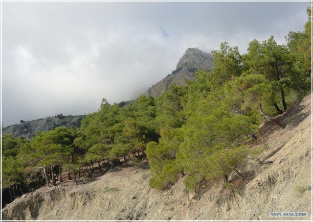 Cape Aya Crimea - Crimea Travel Guide